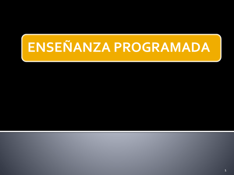 Enseñanza programada