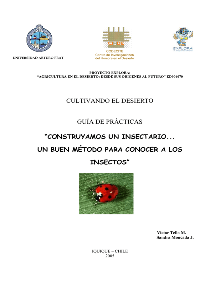 COMO PREPARAR UN INSECTARIO