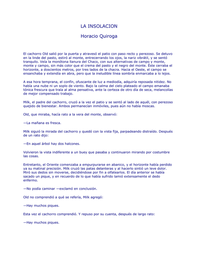LA INSOLACION Horacio Quiroga El cachorro Old salió por la
