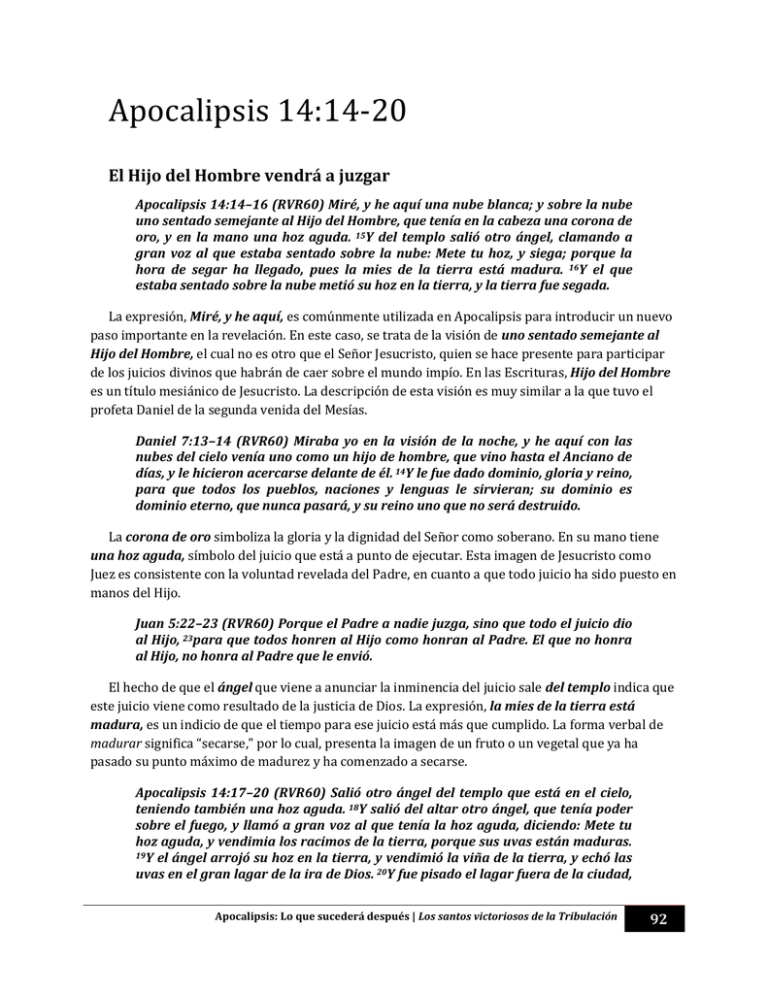 24 Apocalipsis 14-14..