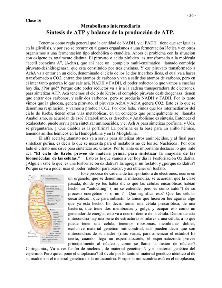 Sintesis de atp y balance de la produccion de ATP