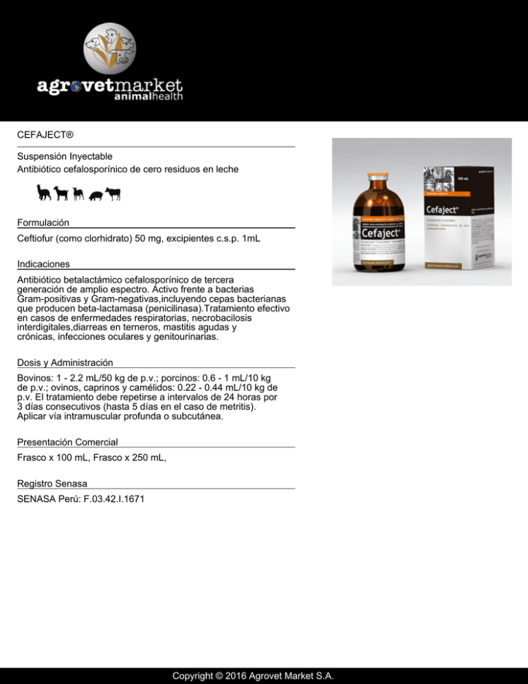 CEFAJECT® Suspensión Inyectable Antibiótico cefalosporínico de cero ...