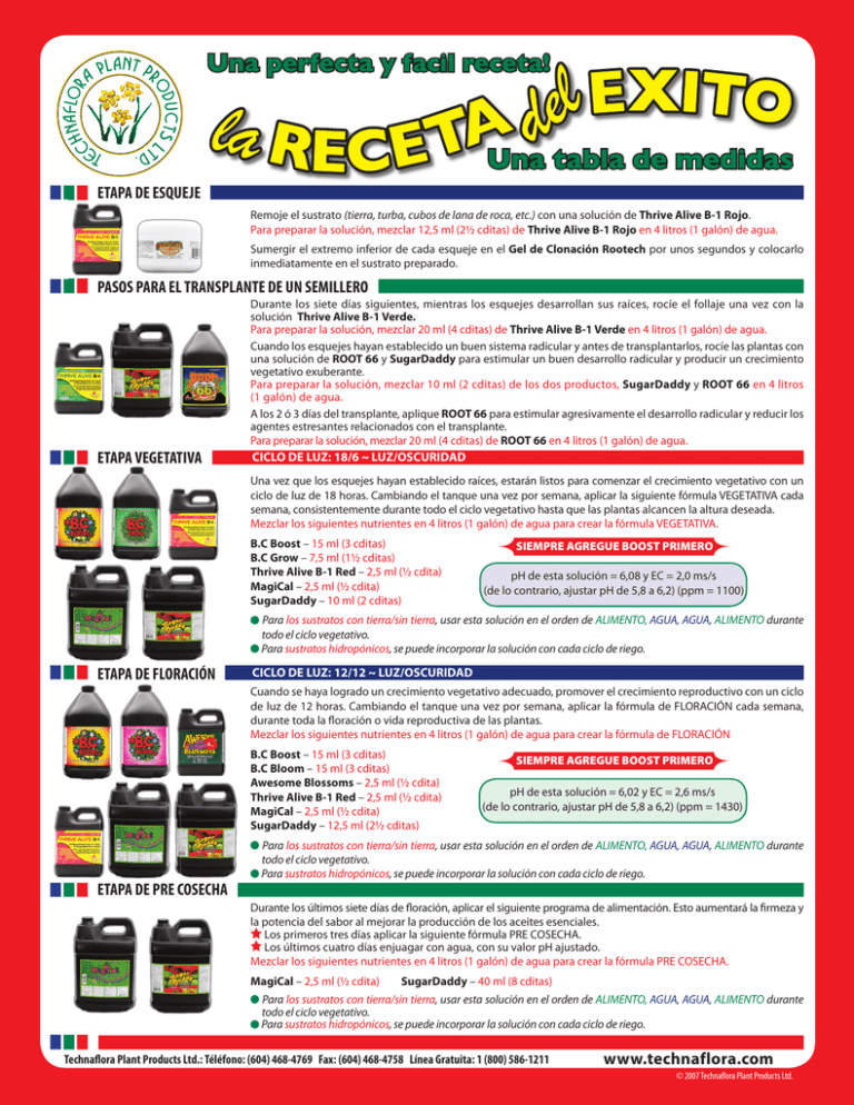 receta del exito spanish