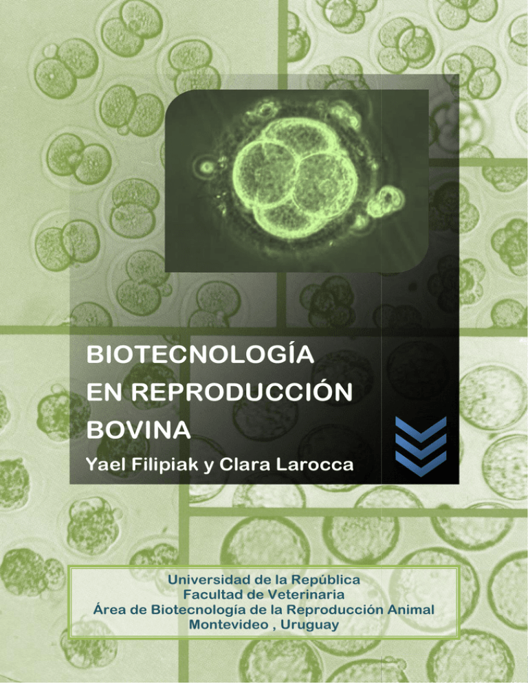 MANUAL TEÓRICO PRÁCTICO BIOTECNOLGÍA EN REPRODUCCIÓN BOVINA: