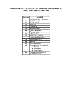 Evaluación del sistema API Coryne, versión 2.0, para la