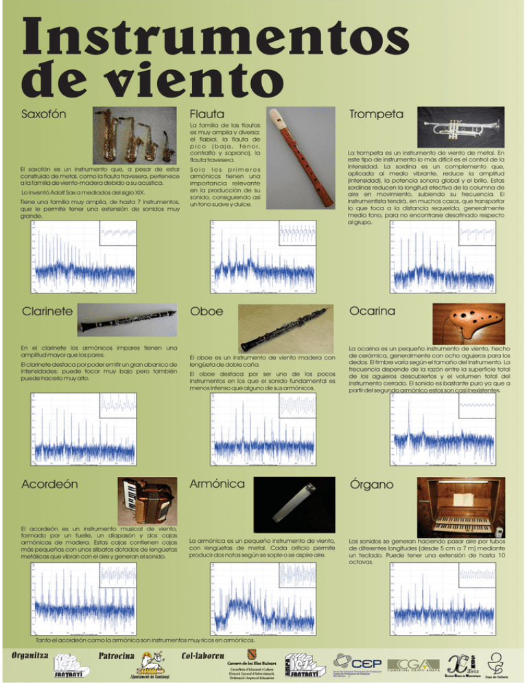 12 Instrumentos de viento