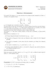 Álgebra Lineal: Matrices Particionadas y Descomposición LU