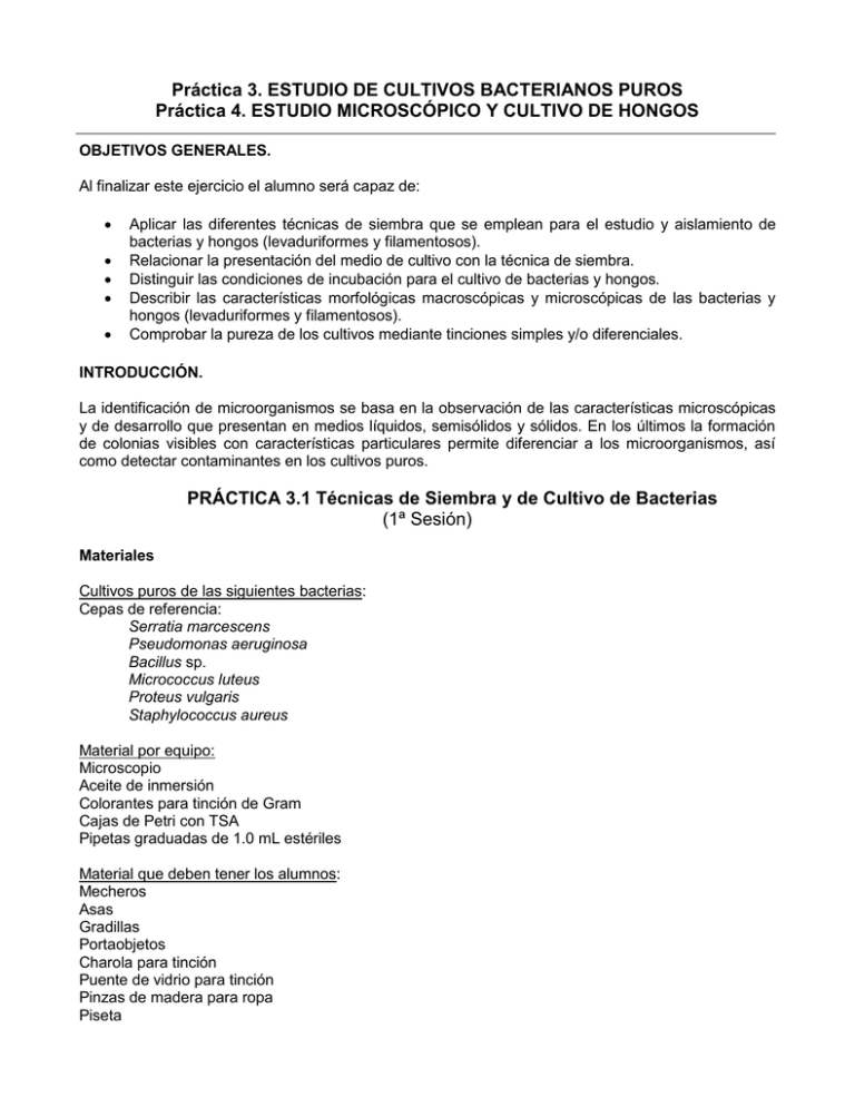 Práctica 3. ESTUDIO DE CULTIVOS BACTERIANOS
