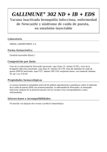 sindrome respiratorio en pollos de engorda