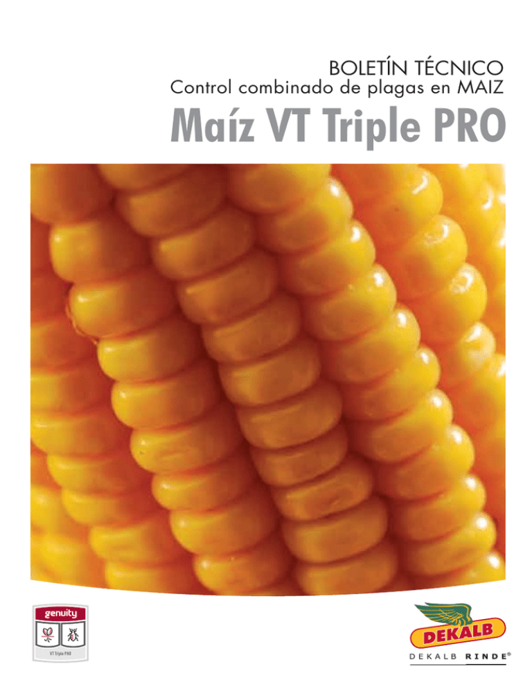 Maíz VT Triple PRO