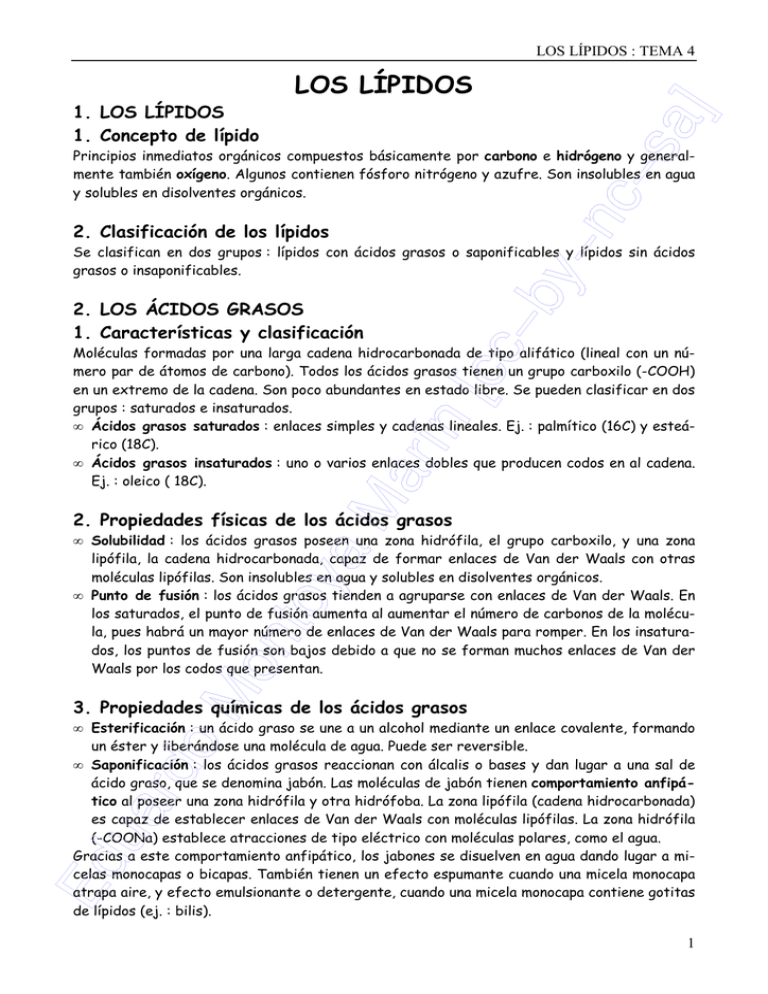 los lípidos - SelectividadOnline