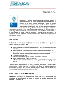 Ampicilina - Laboratorios Rowe