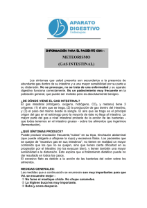 tratamiento nutricional del síndrome de intestino corto