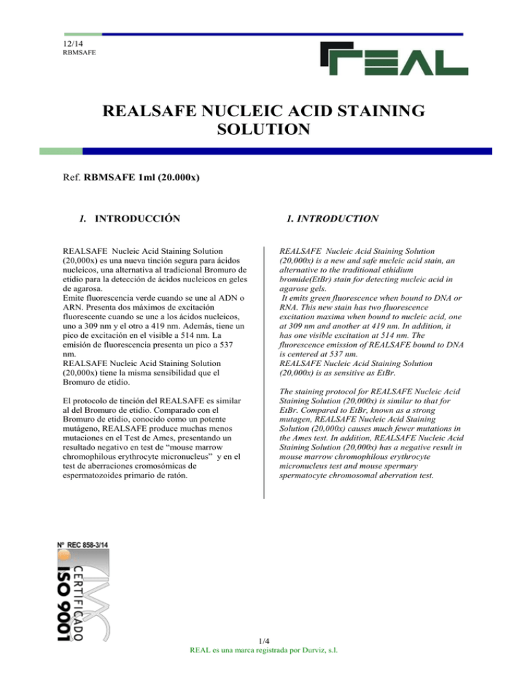 realsafe nucleic acid staining solution