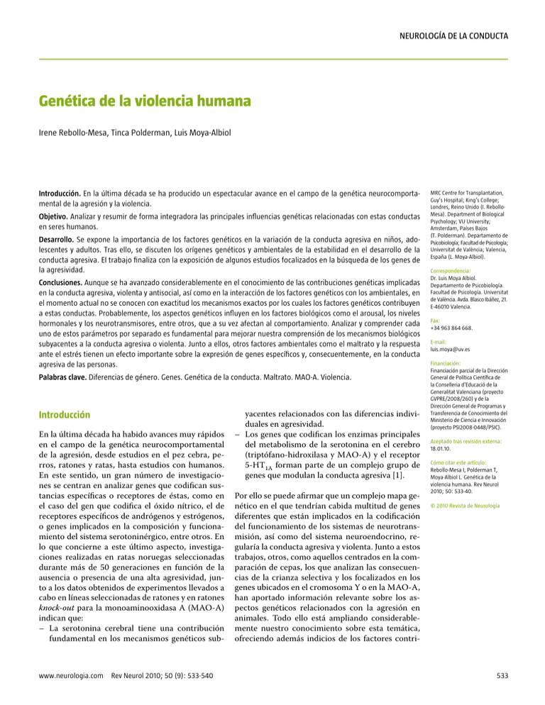 Genética de la violencia humana