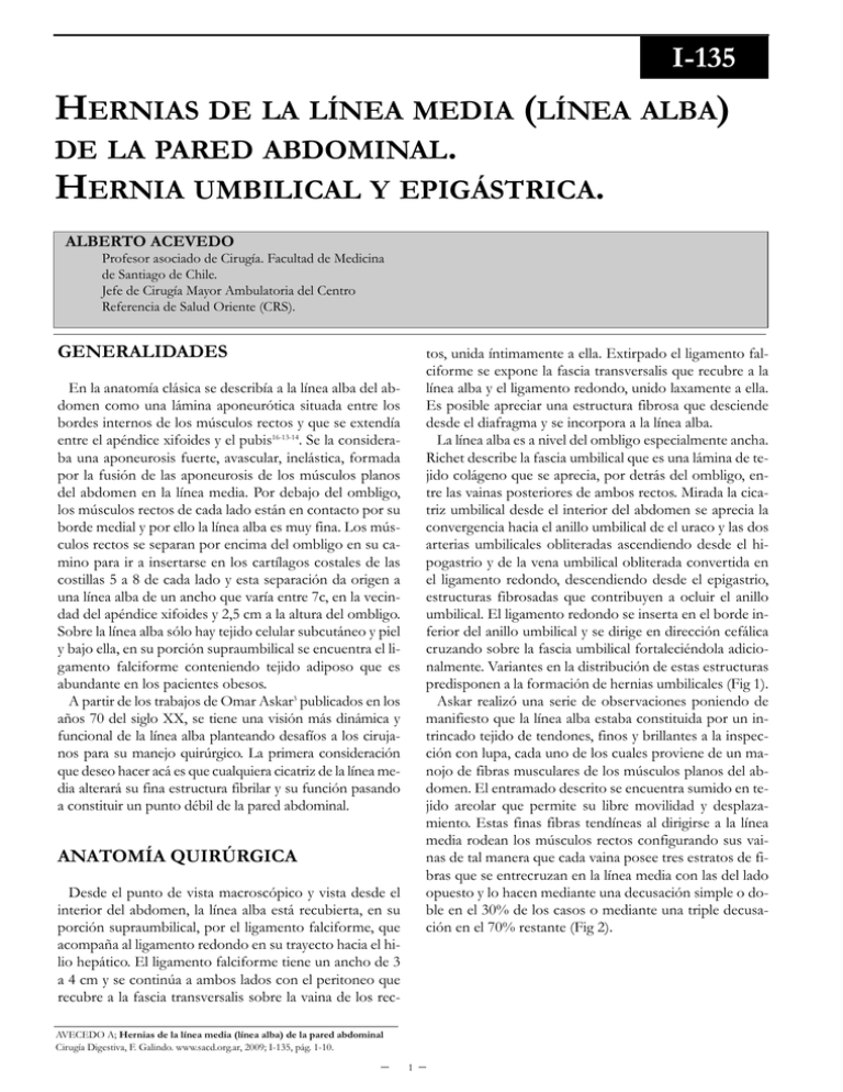 Hernia de la línea media (línea alba)