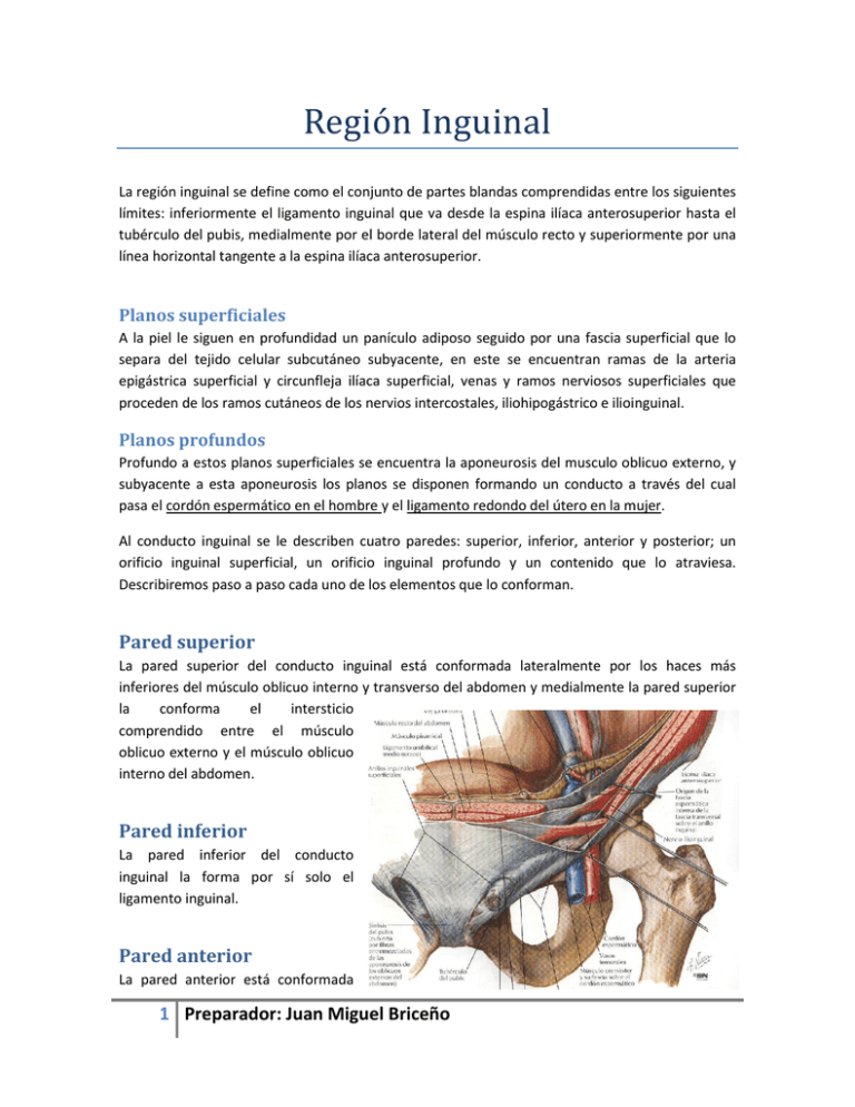 Región Inguinal