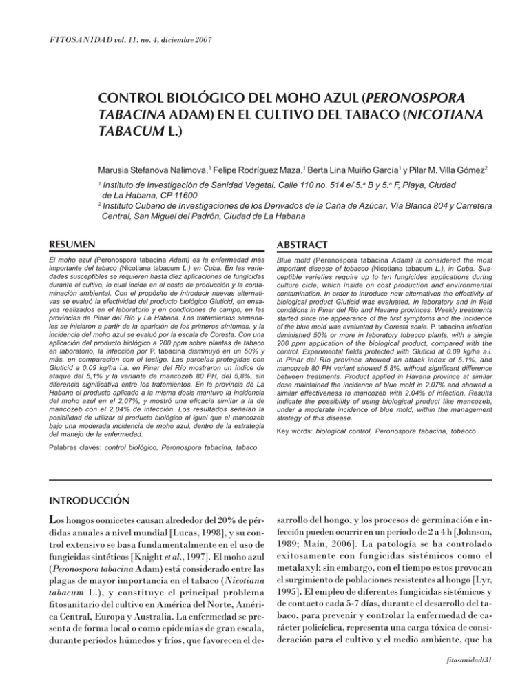 CONTROL BIOLÓGICO DEL MOHO AZUL (PERONOSPORA