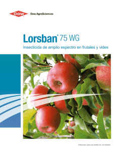 proyecto etiqueta lorsban® 75wg - SDS