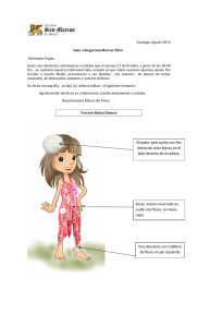 Crear Pareo en Microsoft Forms: Guía Paso a Paso