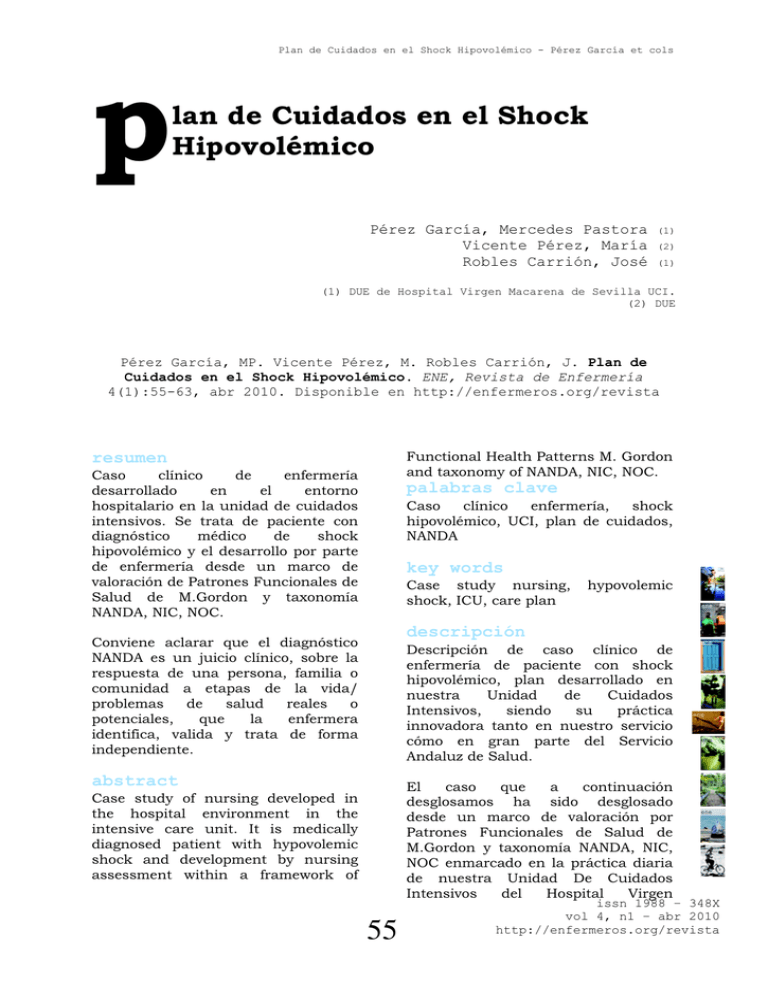 lan de Cuidados en el Shock Hipovolémico