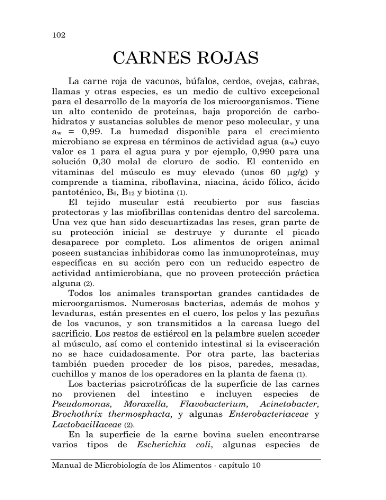10) Carnes rojas