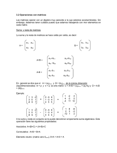 Álgebra Lineal: Matrices Particionadas y Descomposición LU