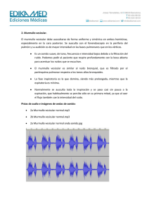 Murmullo Vesicular: Auscultación Pulmonar y Fundamentos Técnicos