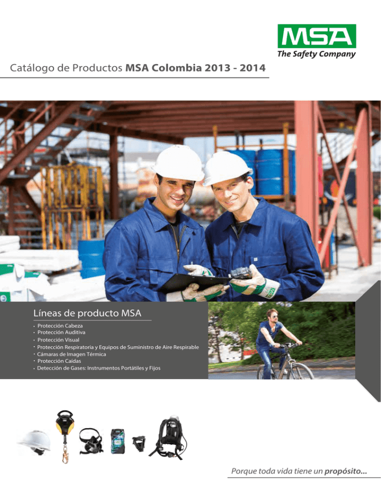 Catalogo MSA 2013