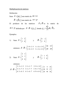 Álgebra Lineal: Matrices Particionadas y Descomposición LU