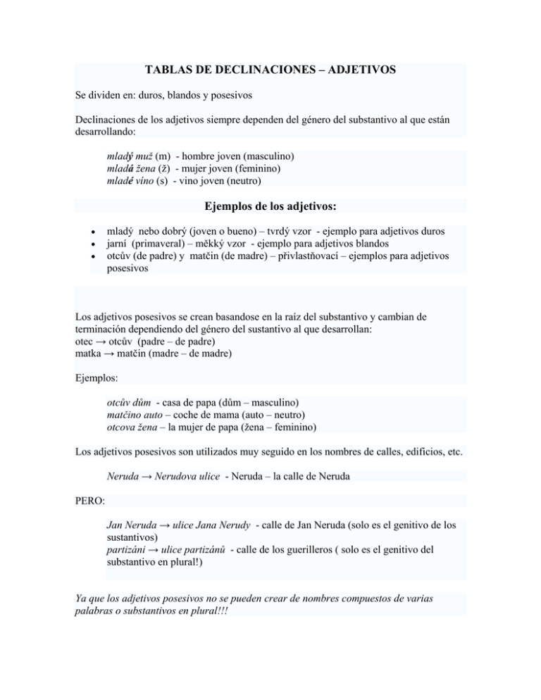 TABLAS DE DECLINACIONES – ADJETIVOS Ejemplos