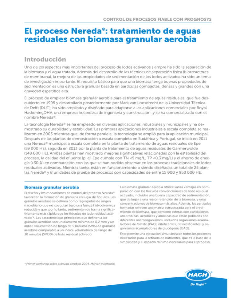 El proceso Nereda®: tratamiento de aguas residuales con