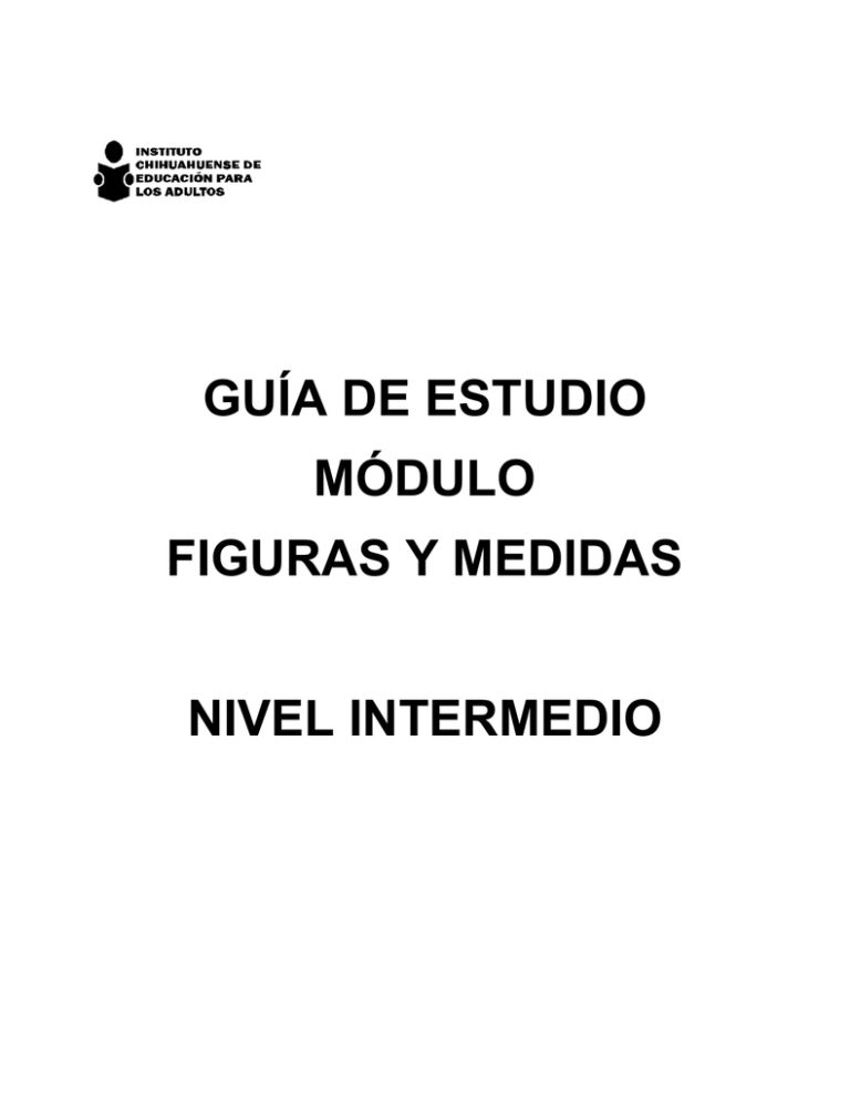 GUÍA DE ESTUDIO MÓDULO FIGURAS Y MEDIDAS NIVEL