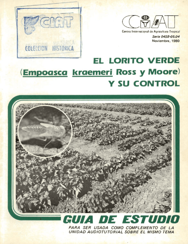 EL LORITO VERDE (Empoasca kraemeri Ross y Moore)