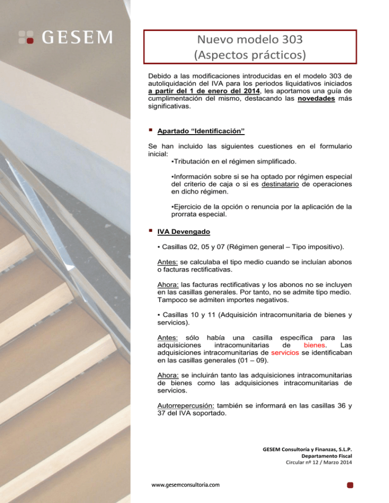 Nuevo modelo 303 (Aspectos prácticos)