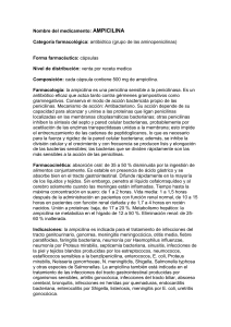 Ampicilina - Laboratorios Rowe