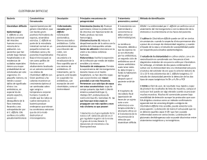Colitis fulminante por Clostridium difficile