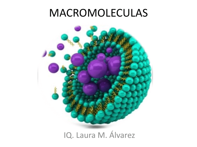 MACROMOLECULAS