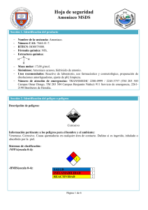 MSDS Cloruro de Hierro (III): Seguridad y Manejo