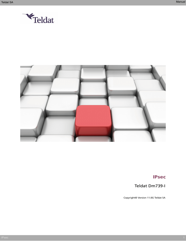 Teldat dm739-I IPSec