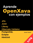 Aprende OpenXava con Ejemplos: Guía Práctica Java Web