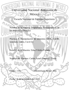 Cemento Sellador SILCO: Composición, Propiedades y Uso